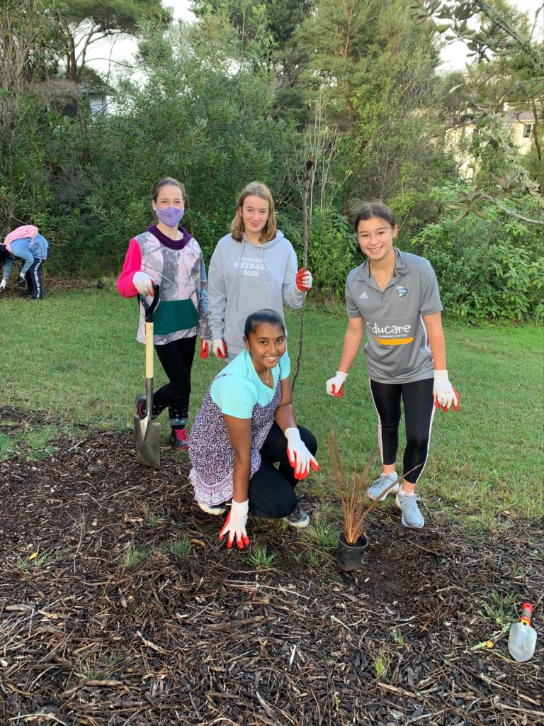 Environmental Group Tree Planting | Rangitoto College