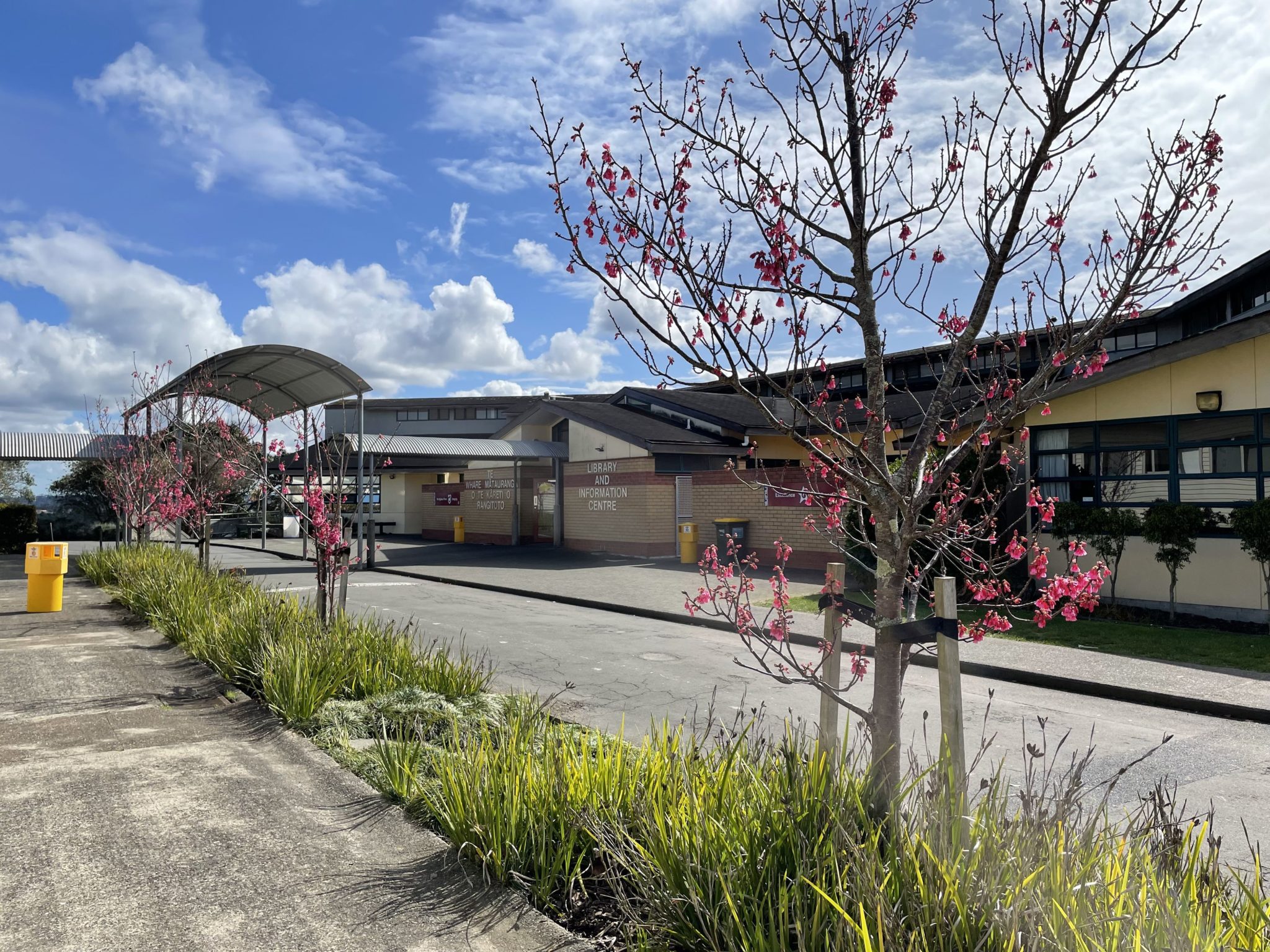 Library | Rangitoto College