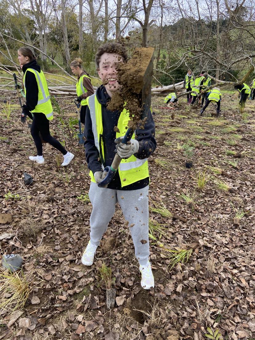 Year 11 Sociology Tree Planting | Rangitoto College
