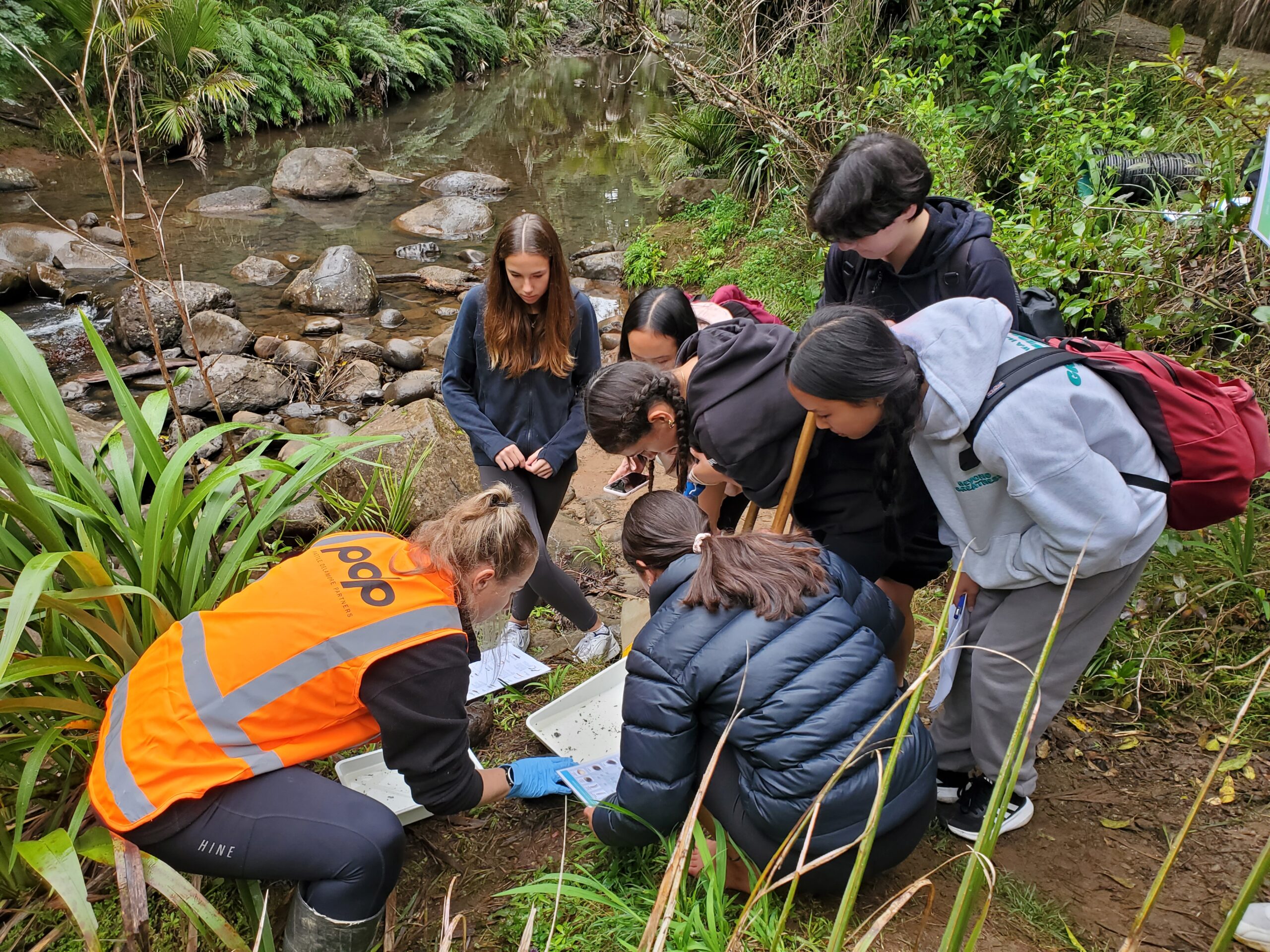 Geography Field Trip to Waitakere and Cascade Rivers | Rangitoto College